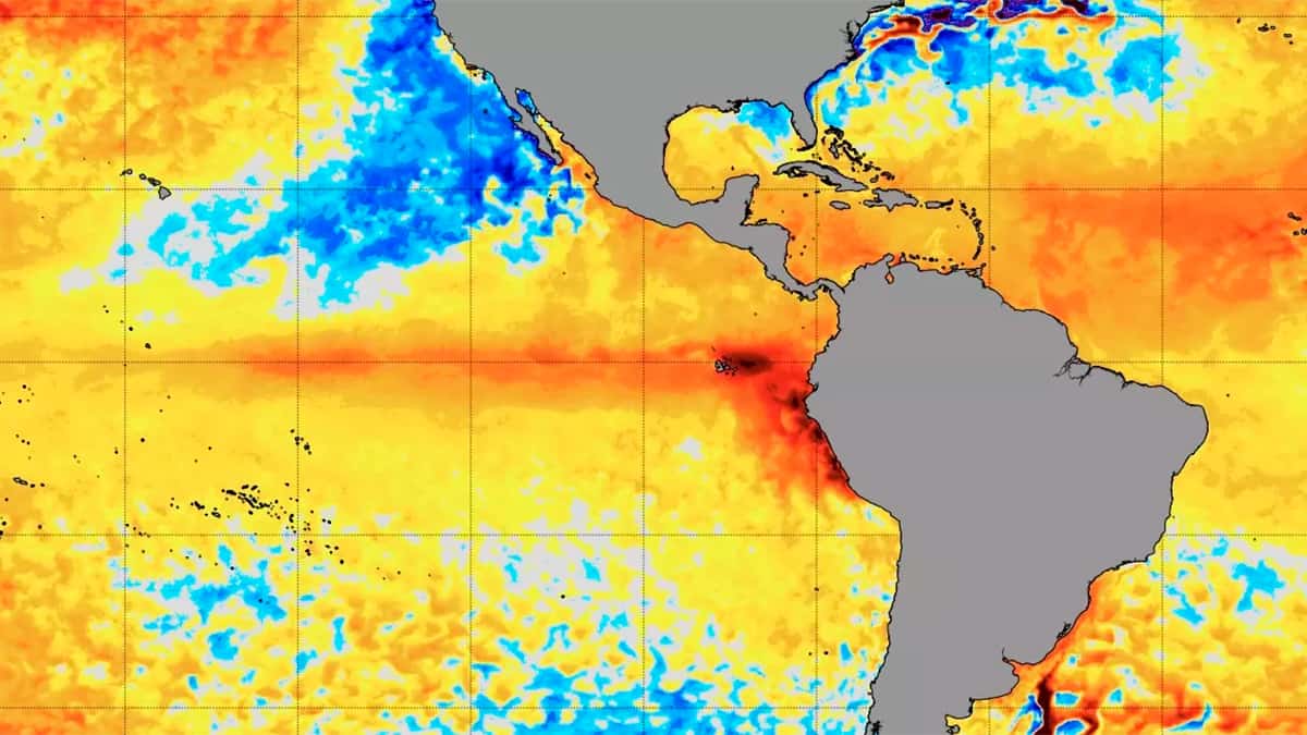 El Niño de forte intensidade destaca atuação da Engenharia na prevenção ...